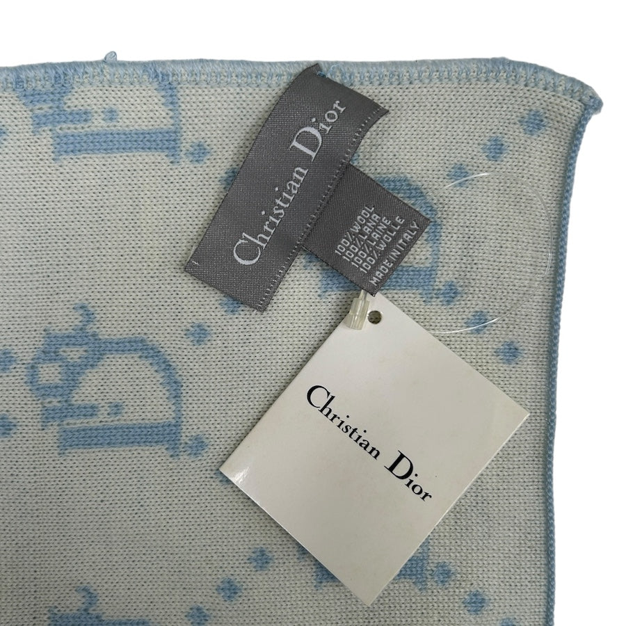 (NEW) DIOR BABY BLUE TROTTER MONOGRAM SCARF – Top Floor Gallery